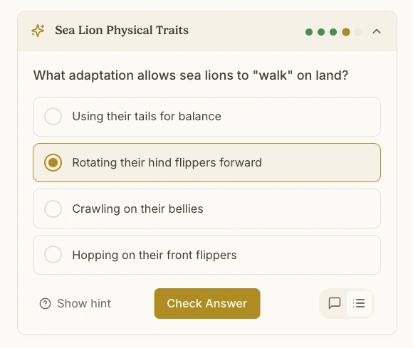 Periplus - Learn with LLMs